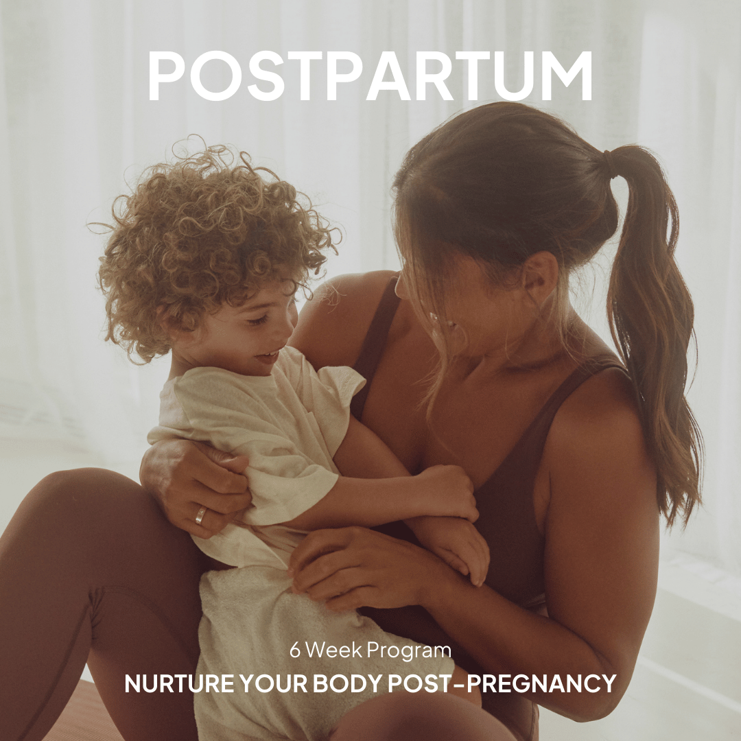 Postpartum Program – FitazFK